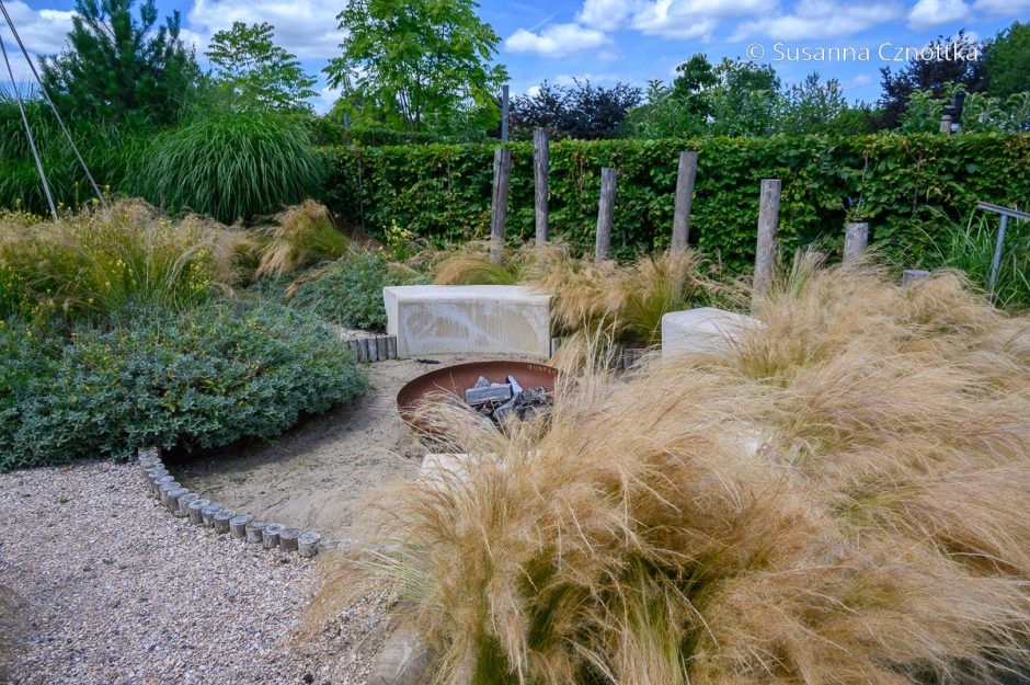 Attraktive Strukturen und Winterschmuck: Ziergräser im Garten – Einfach ...