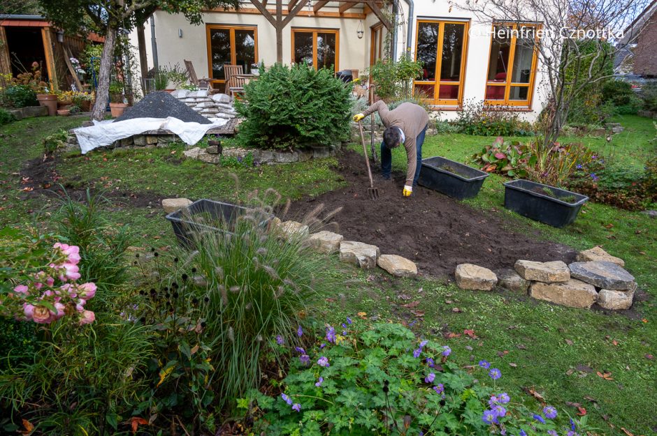 Insektenfreundlicher Garten: ein Magerbeet oder Trockenbeet anlegen ...