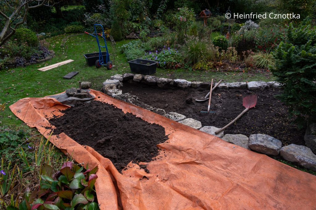 Insektenfreundlicher Garten: ein Magerbeet oder Trockenbeet anlegen ...