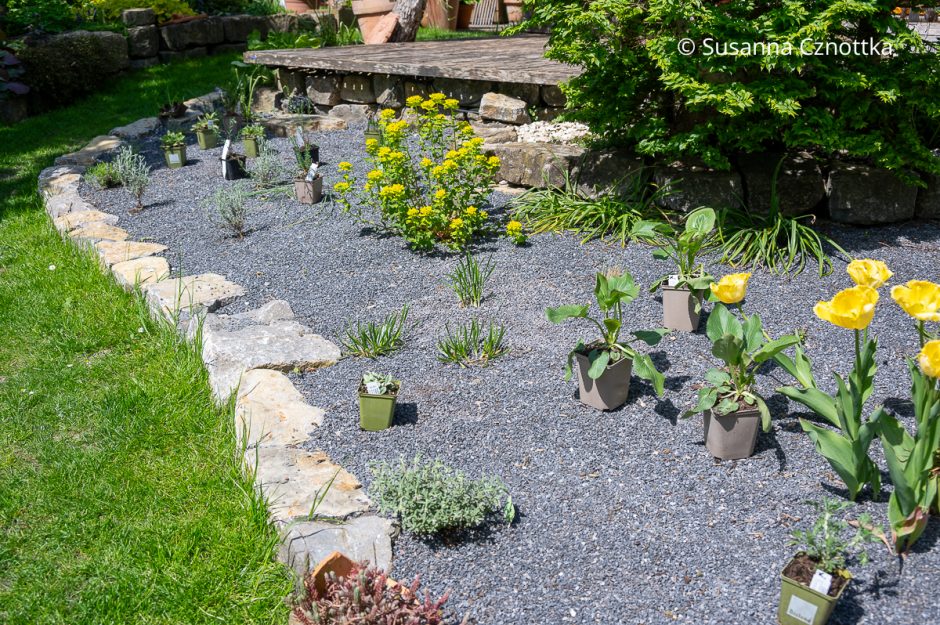 Insektenfreundlicher Garten: ein Magerbeet oder Trockenbeet anlegen ...