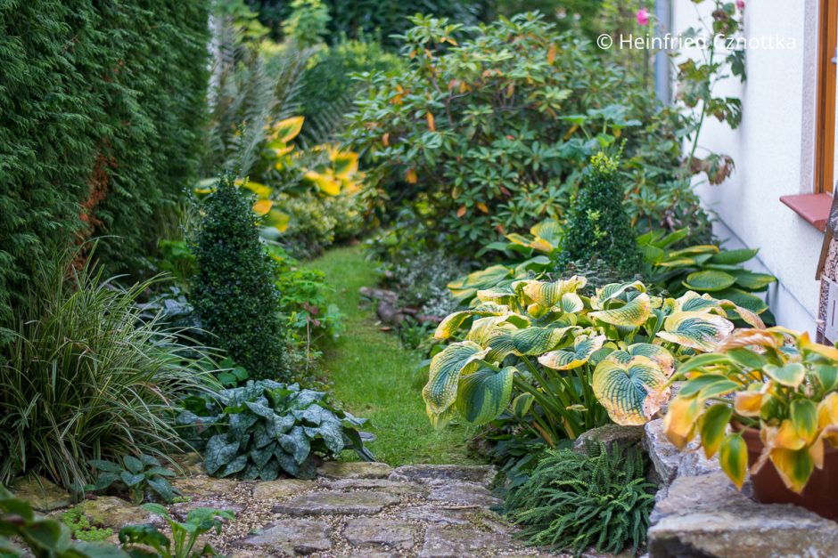 Vorher-Nachher: einen schmalen Gartenstreifen neben dem Haus gestalten ...