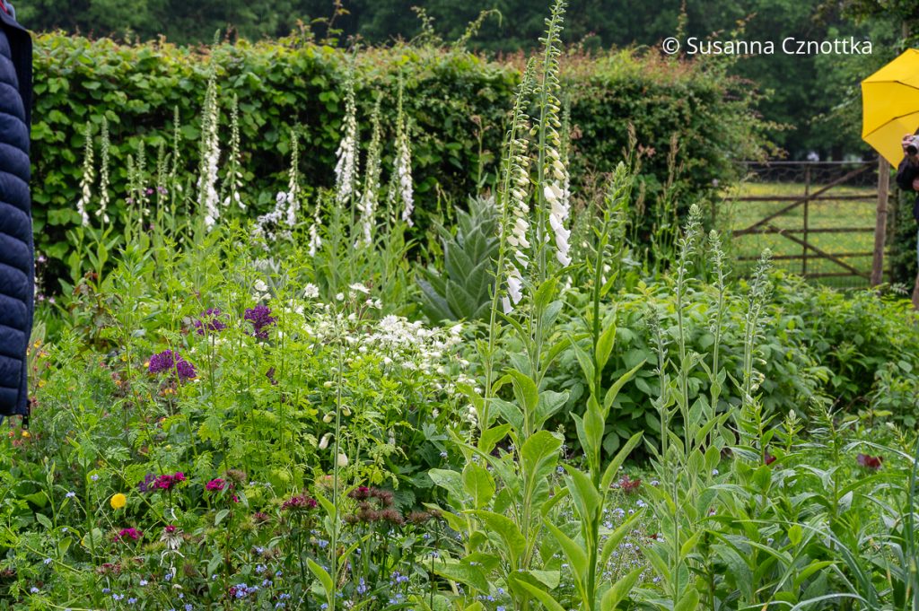 Gartenreise England: Balmoral Cottage – Einfach Garten