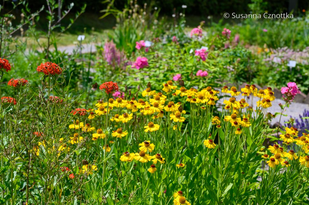 Faszinierend Der Garten Detmold Bild