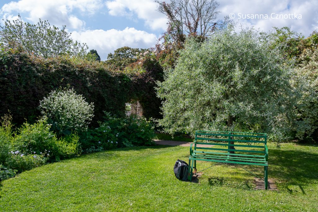 Ein kleiner Baum mit mediterraner Wirkung: die Weidenblättrige Birne ...