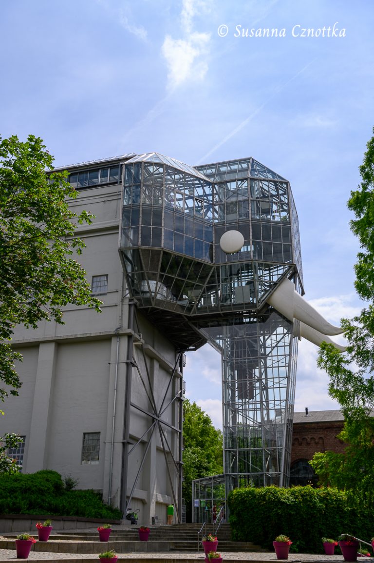 Maximilianpark in Hamm: die Piet Oudolf-Pflanzungen im Spätsommer ...
