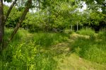 Naturnahes Gärtnern: die Plakette "Natur im Garten" – Einfach Garten