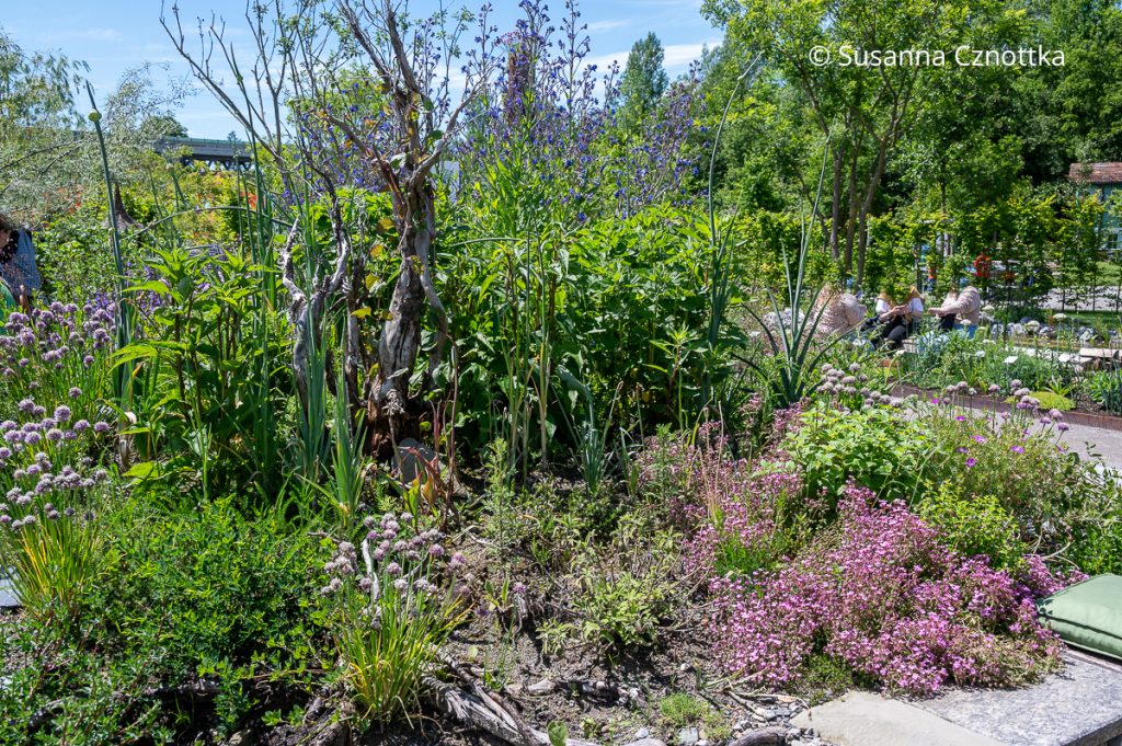 Landesgartenschau Baden-Württemberg 2024 : Wangen im Allgäu – Einfach ...