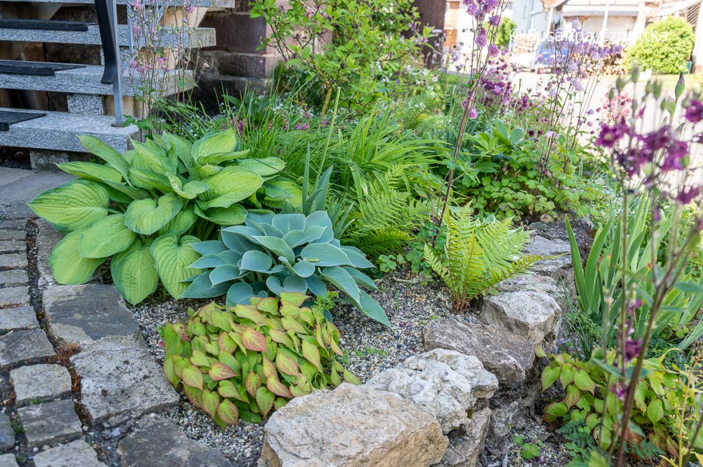 Ein naturnaher Garten einer liebenswerten Pflanzensammlerin – Einfach ...