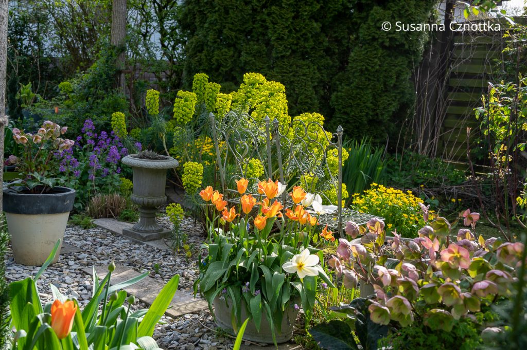 Frhjahrsblumen Im Garten