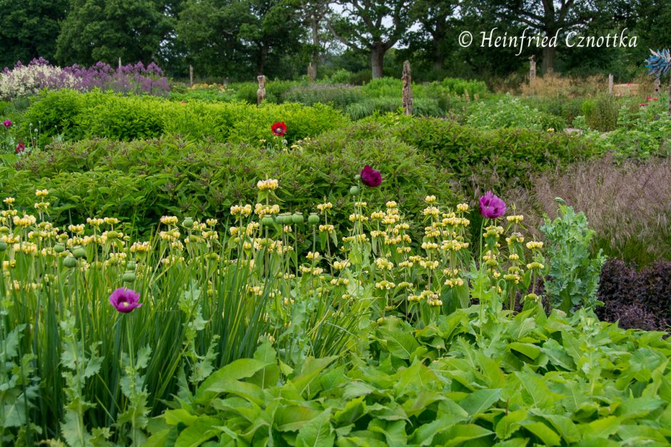 Sussex Prairies Garden – Einfach Garten